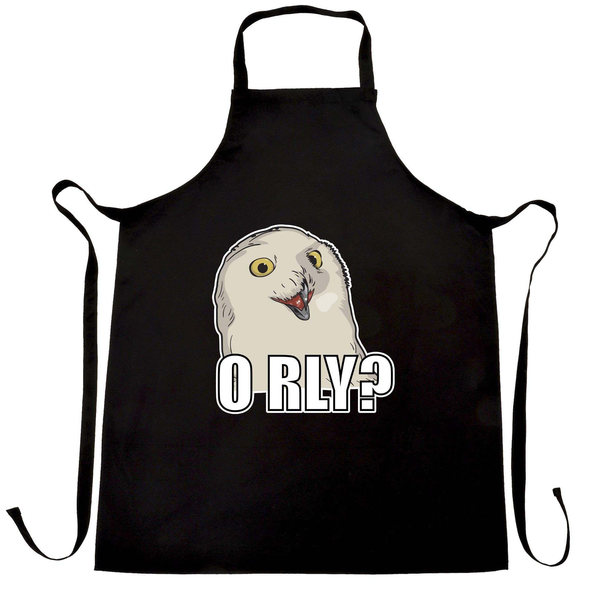 Orly Meme O RLY?: Image Gallery (Sorted By Score) | Know Your Meme