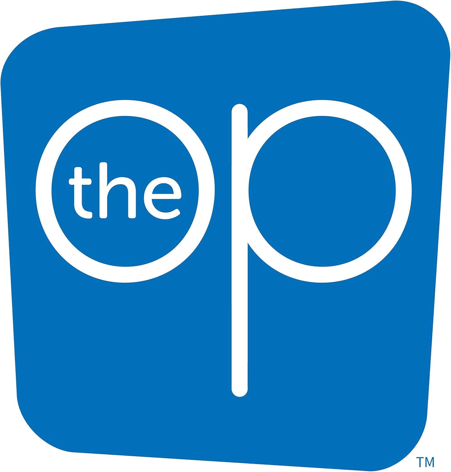 Amazon.com: Critical Role Mighty Nein 1000 Piece Jigsaw Puzzle ...