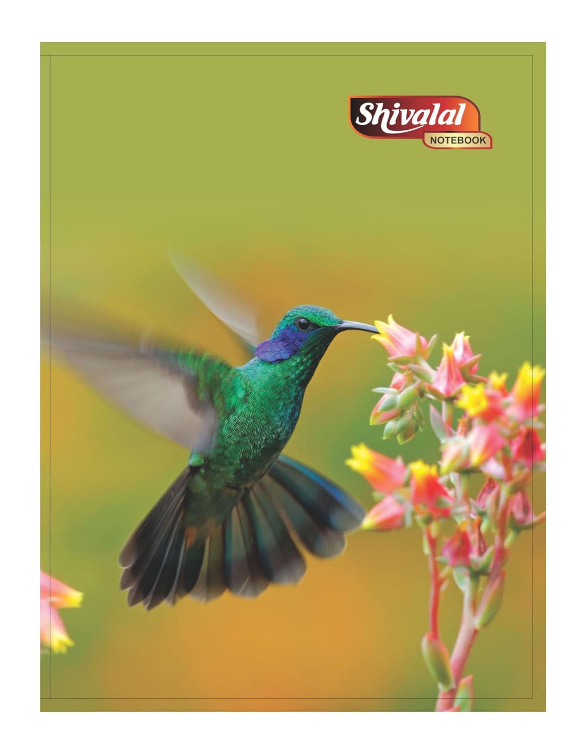 Shiva Lal Agarwala & Company Single Line Copy Composition Notebooks ...