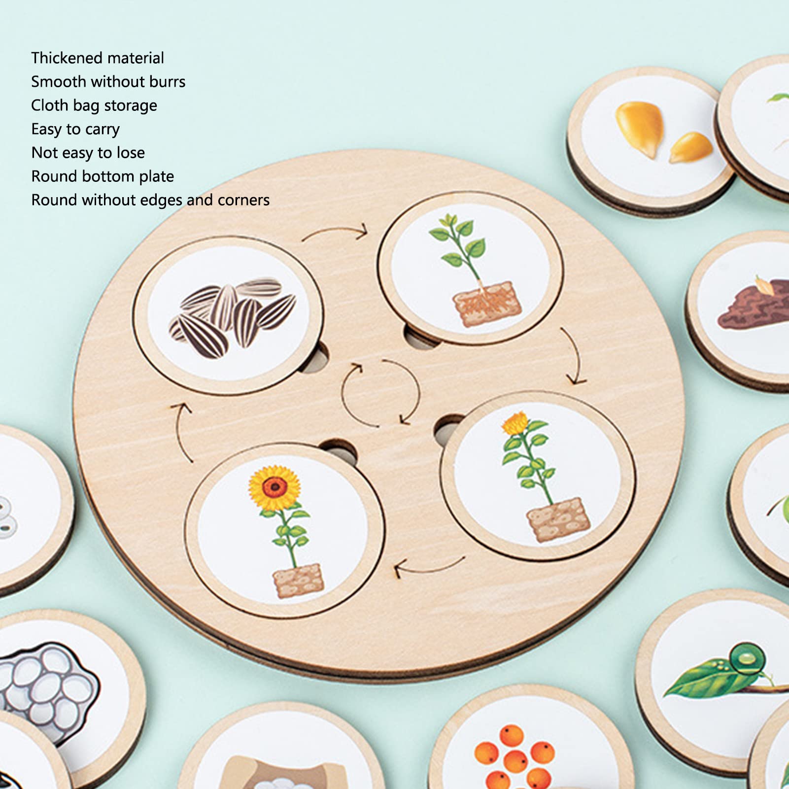 LJCM Wooden Lifecycle Toy, Lifecycle Board Toy DIY Imagination Plant ...