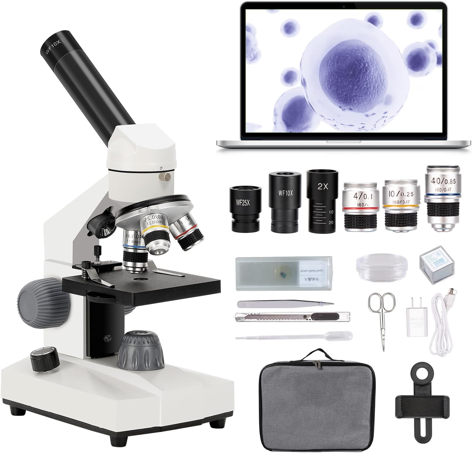 Amazon.com: Microscope monocular Biological Microscope Wide-Angle ...