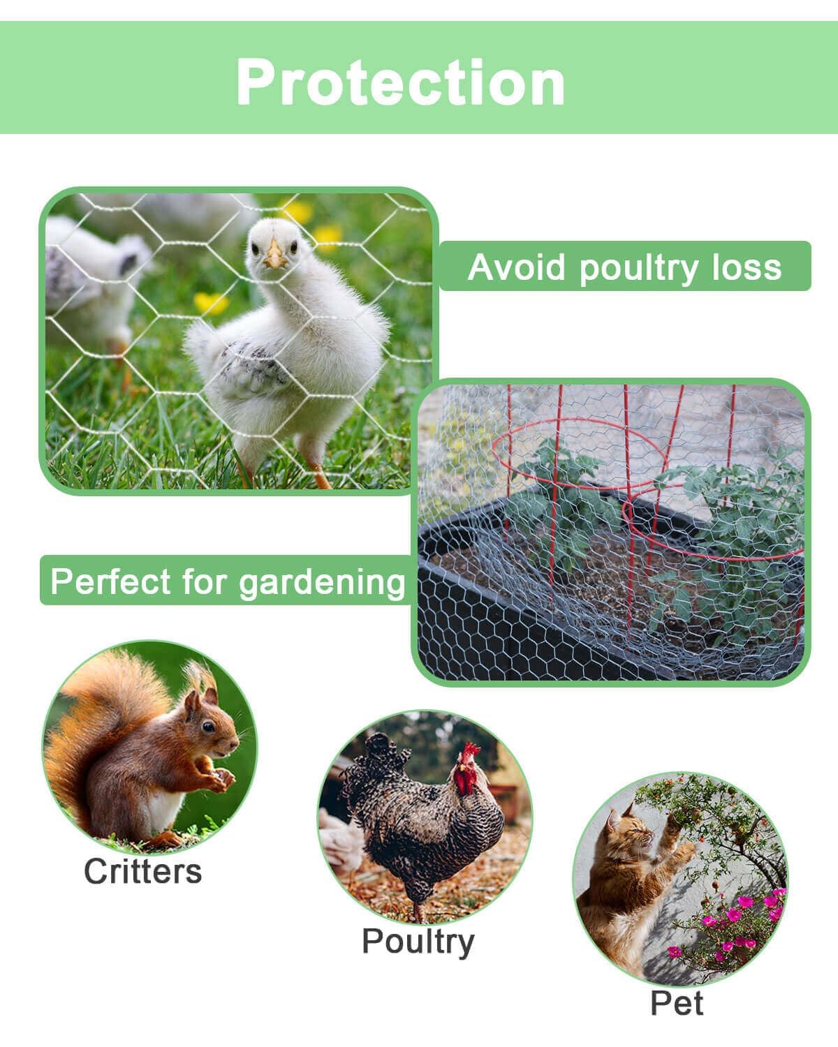Snapklik.com : Garden Poultry Chicken Wire Netting - Garden Fence ...