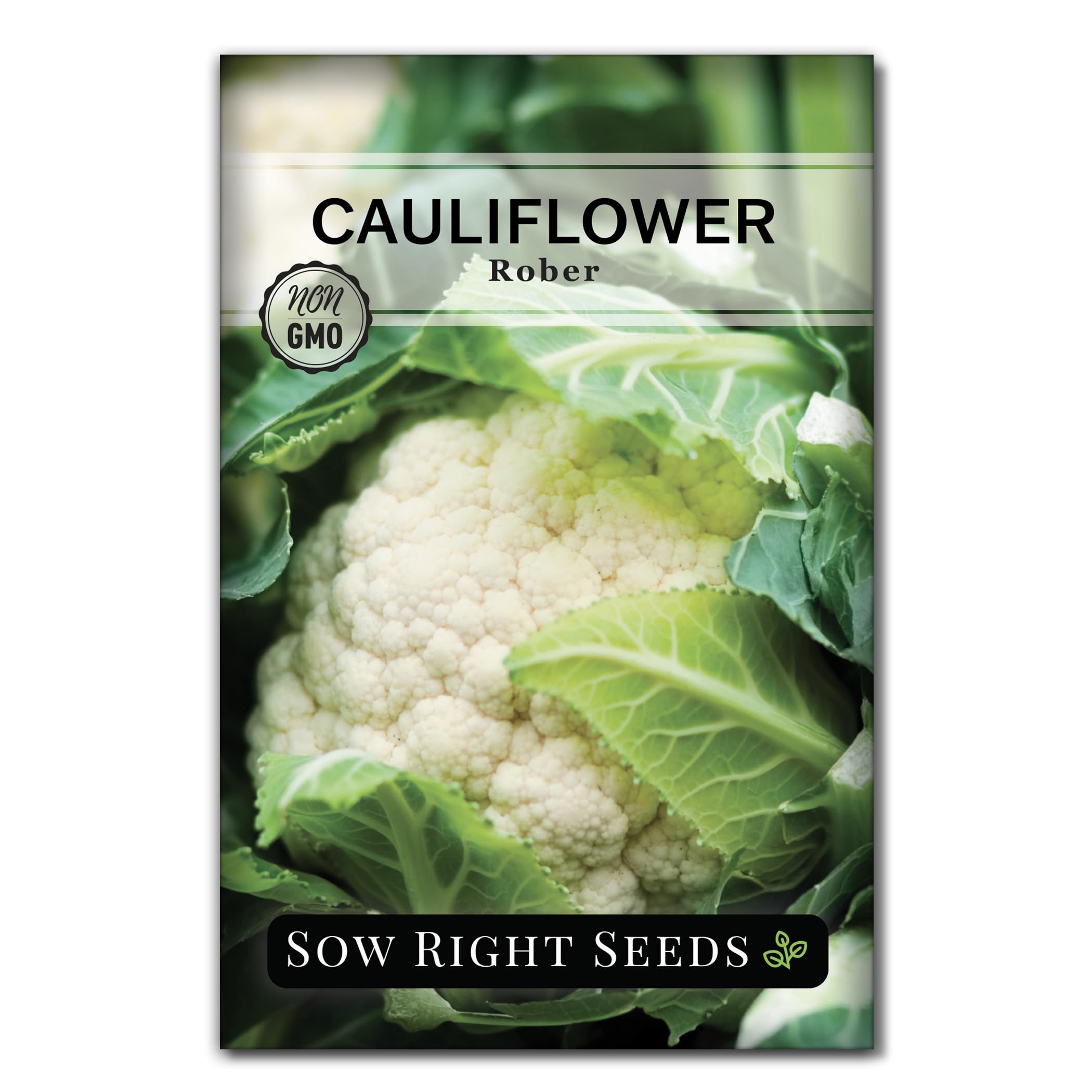 Amazon.com : Sow Right Seeds - Rober Cauliflower Seeds for Planting ...