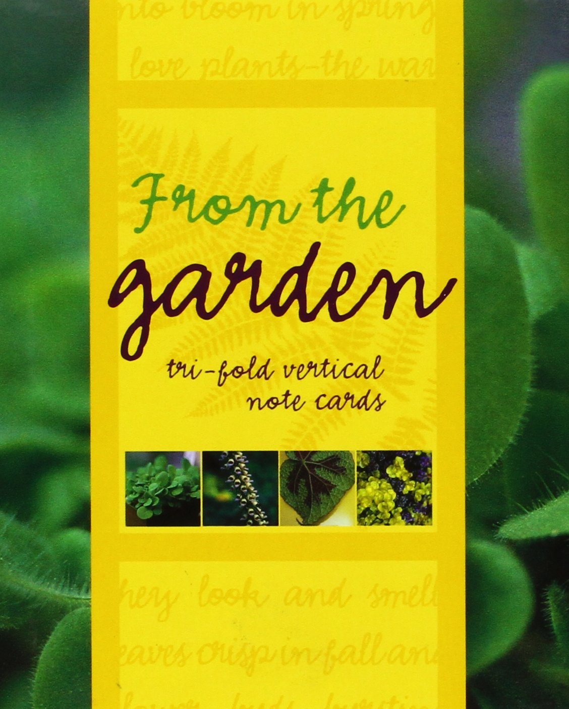 From the Garden Signature Vertical Note Cards: Druse, Ken ...