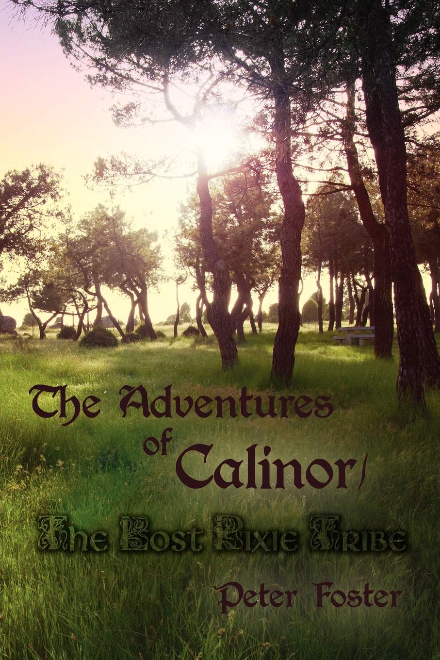 The Adventures of Calinor / The Lost Pixie Tribe: Foster, Peter ...