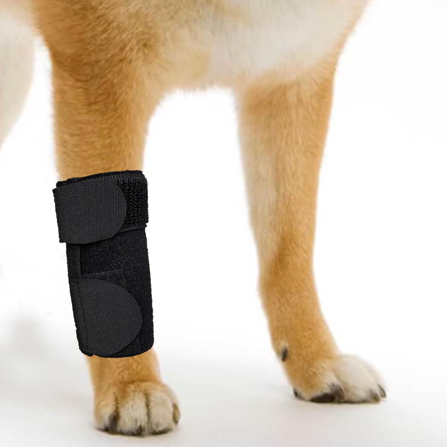 GenetGo Dog Canine Front Leg Brace Paw Compression Sleeve Joint Wraps ...