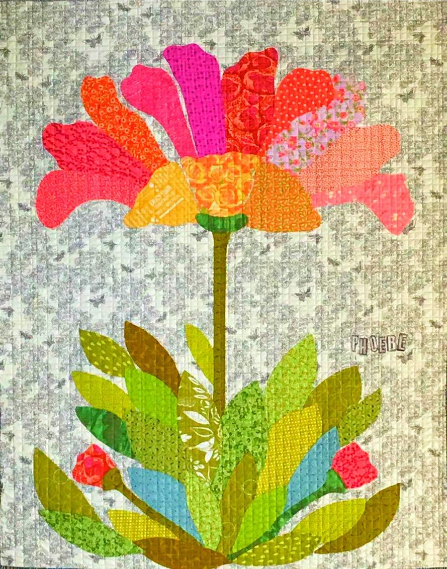 Amazon.com: Fiberworks Phoebe Pattern : Fiberworks INC: Arts, Crafts ...