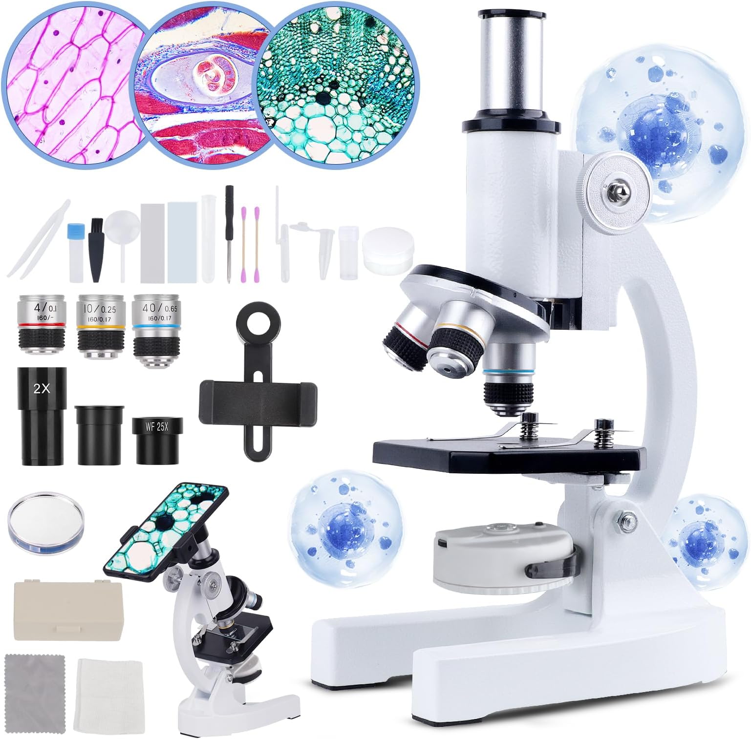 Amazon.com : Microscope-40-1600X Magnification,Biological Educational ...