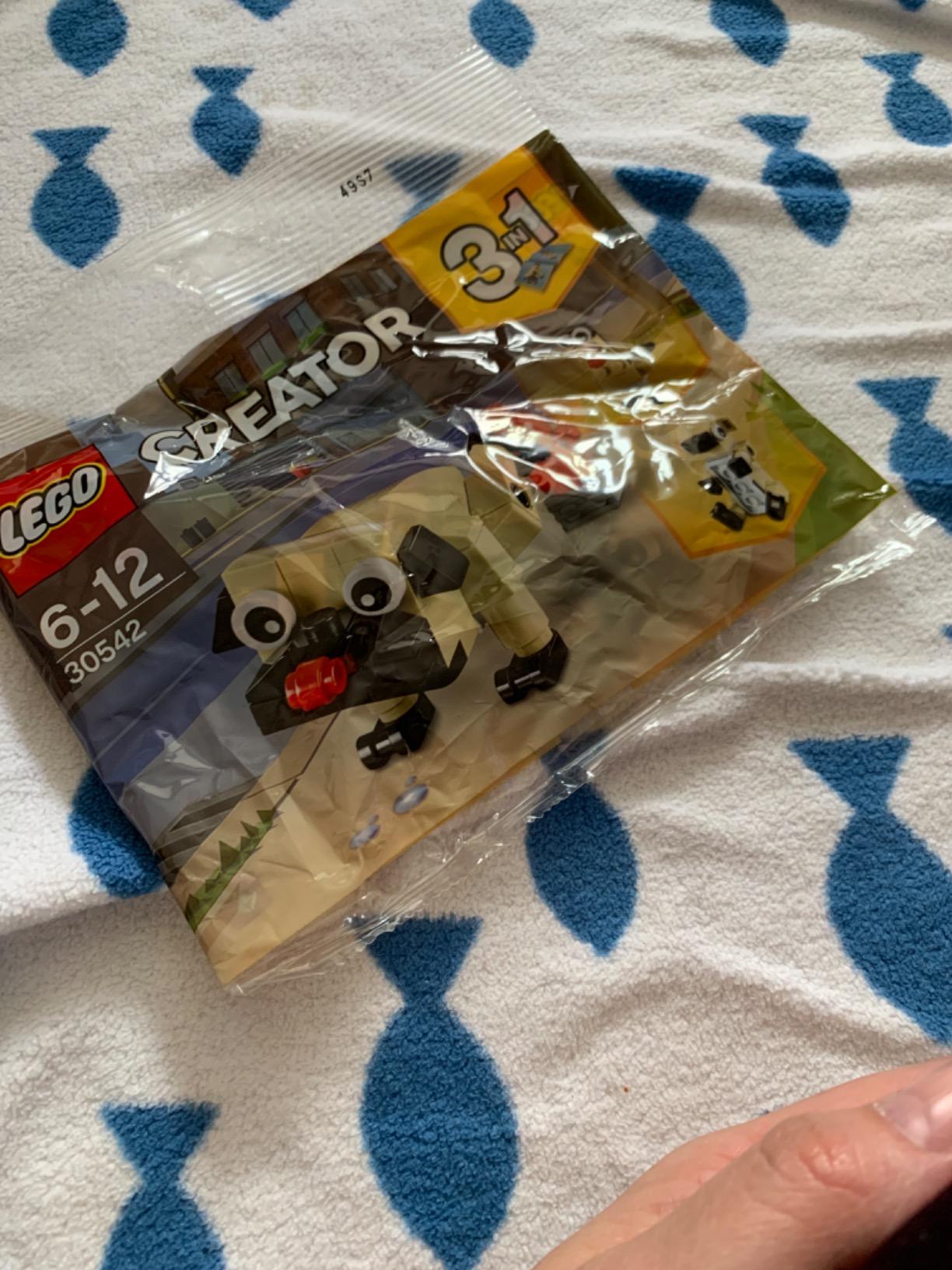 LEGO Creator 30542 Cute Pug : Amazon.co.uk: Toys & Games