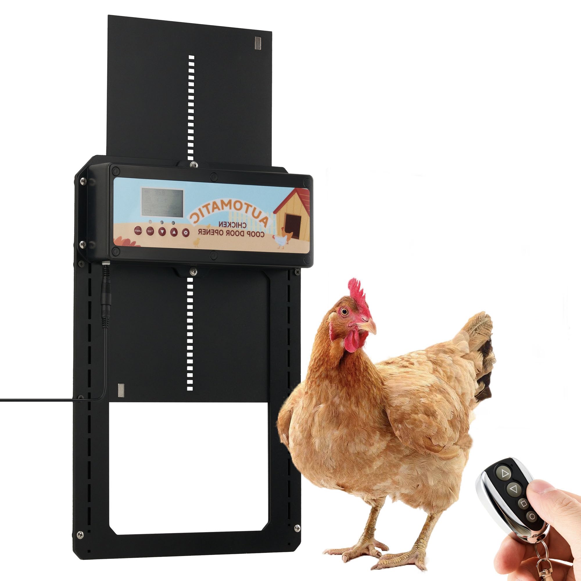 Amazon.com: CO-Z Automatic Chicken Coop Door, Solar Chicken Coop Door ...