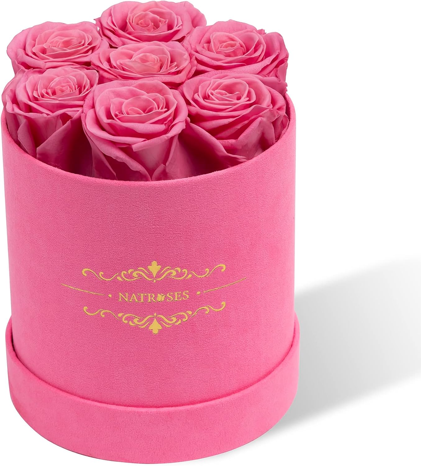 Amazon.com: NATROSES 7 Piece Preserved Roses in a Box, Preserved ...