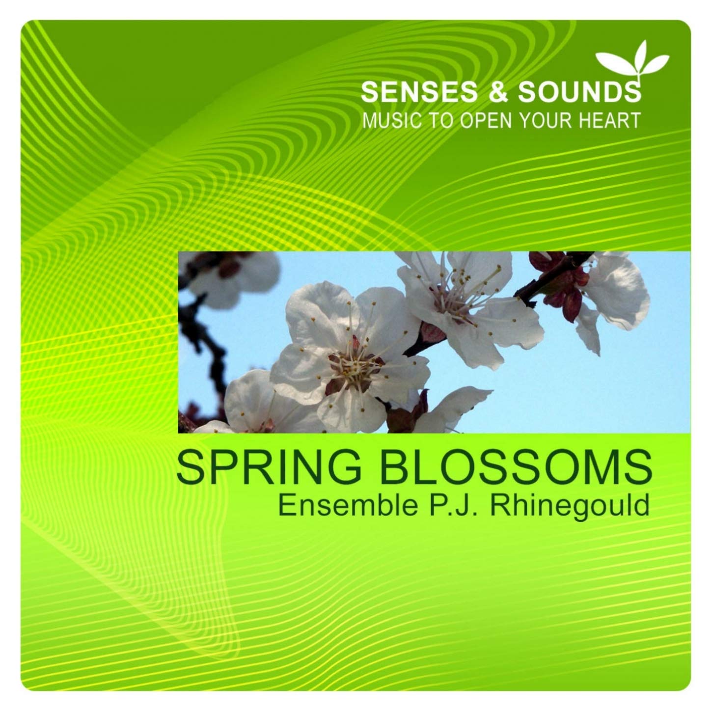 A Thousand Small Gold Bells song by David Arkenstone from Convergence ...