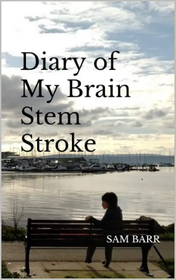 Brain Stem Strokes: Survival And Recovery Possibilities | MedShun