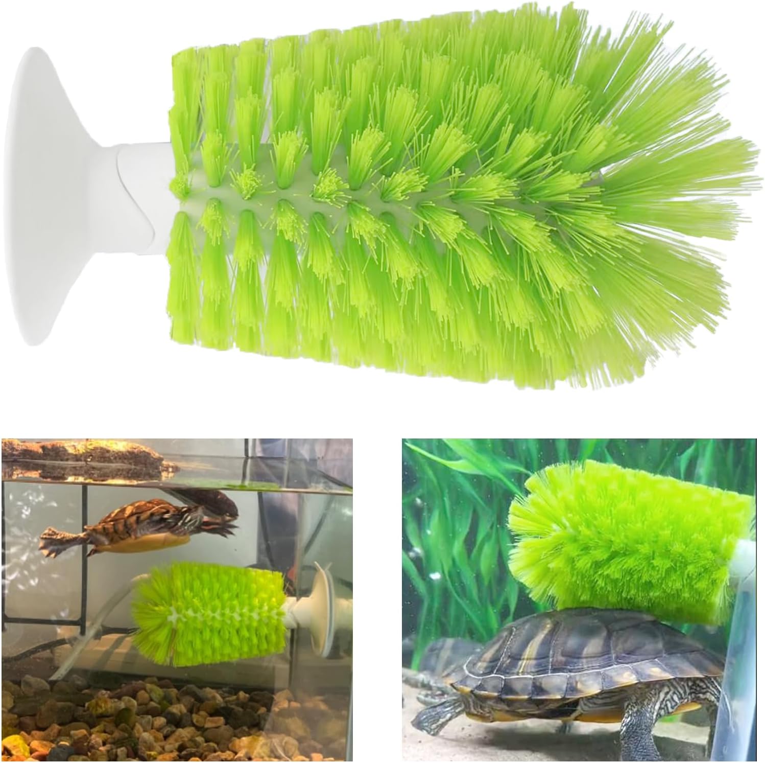 Amazon.com : Turtle Brush, Turtle Scratches Back Brush, Turtle Shell ...