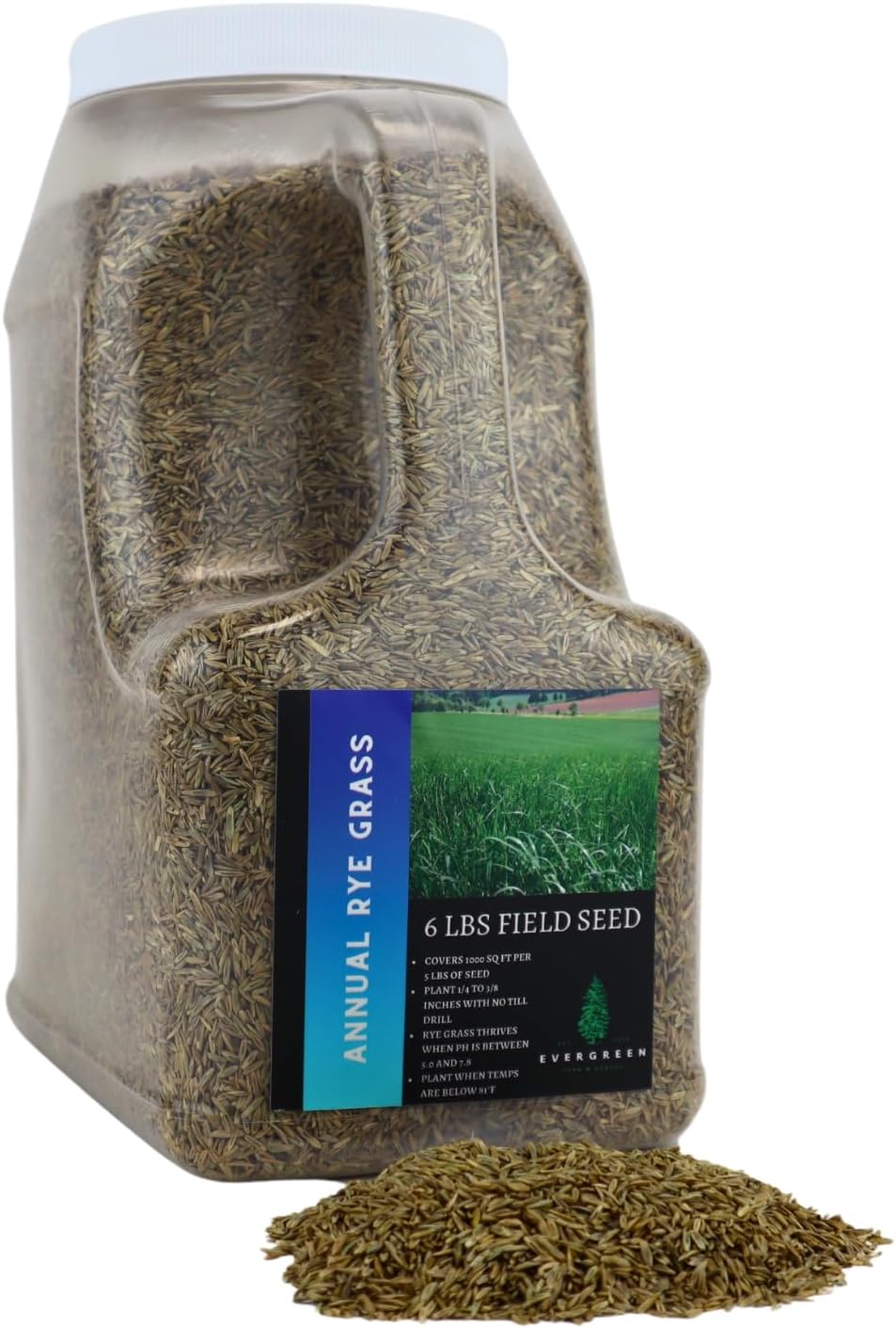 Amazon.com : Rye Grass Annual Field Seed by Evergreen Farm and Garden ...