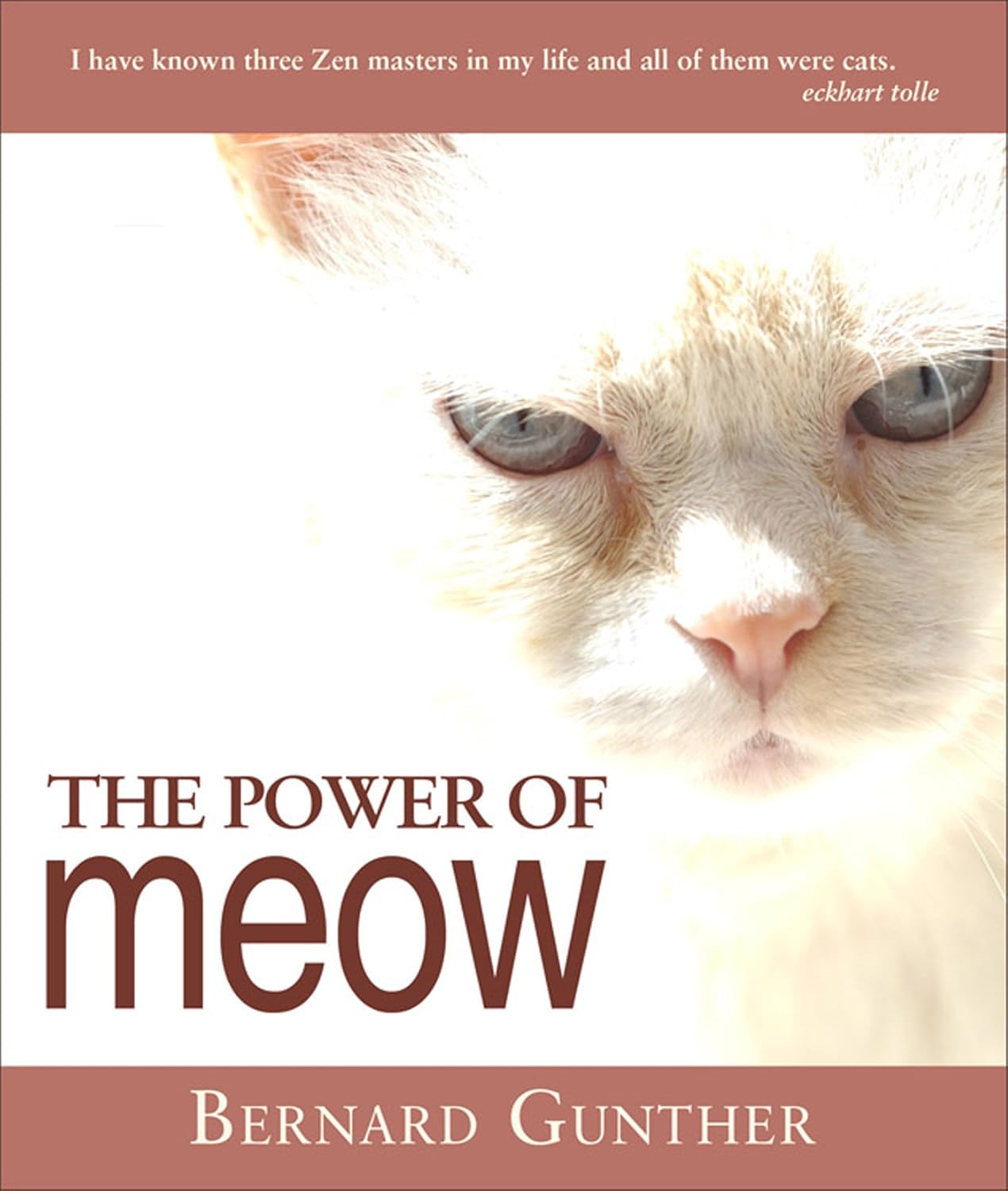 The Power of Meow - Kindle edition by Gunther, Bernard. Religion ...