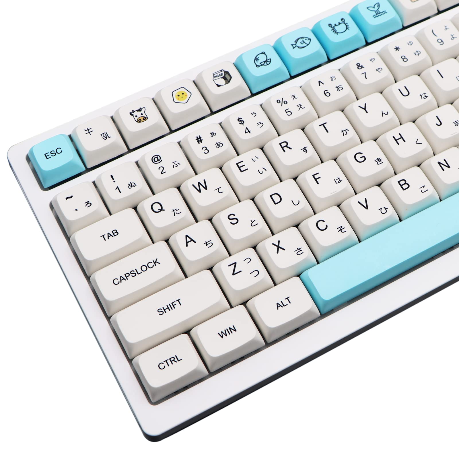 Buy MOLGRIA Sea Salt and Milk Keycaps, PBT Keycaps Honey 138 Set for ...