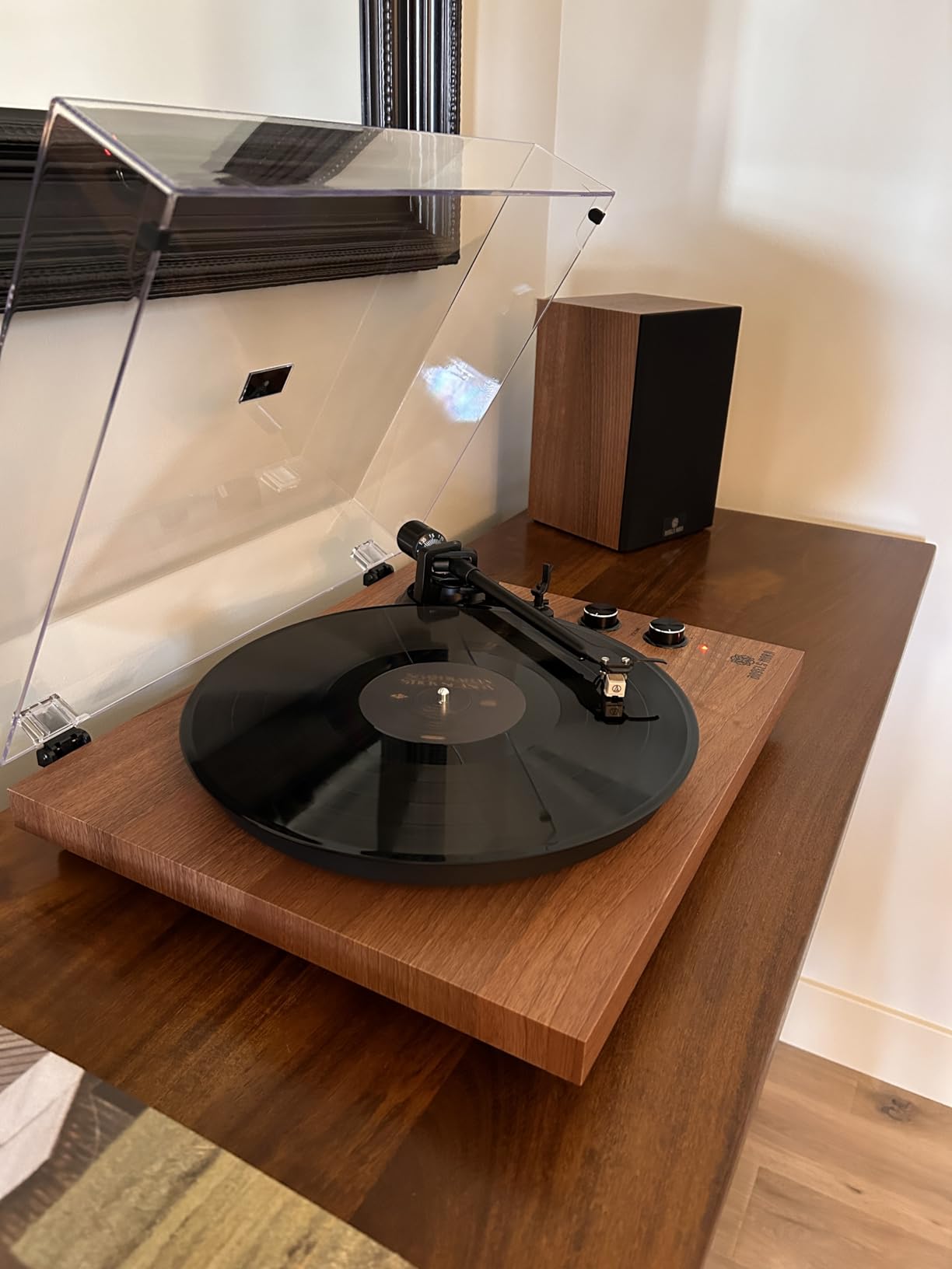 ANGELS HORN Vinyl Record Player, Hi-Fi System Bluetooth Turntable ...