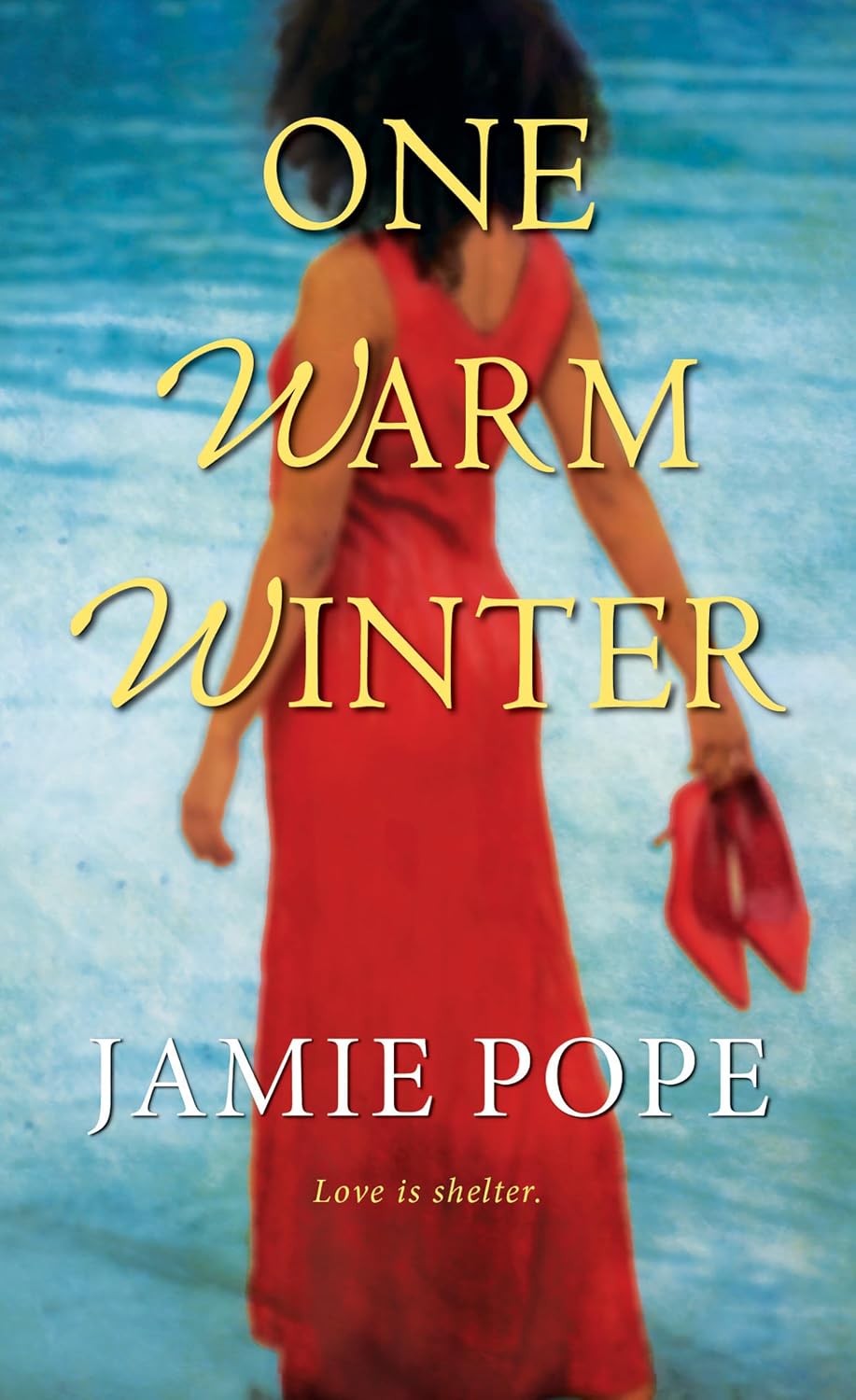 Amazon.com: One Warm Winter (Sunny and Warm): 9781496718273: Pope ...