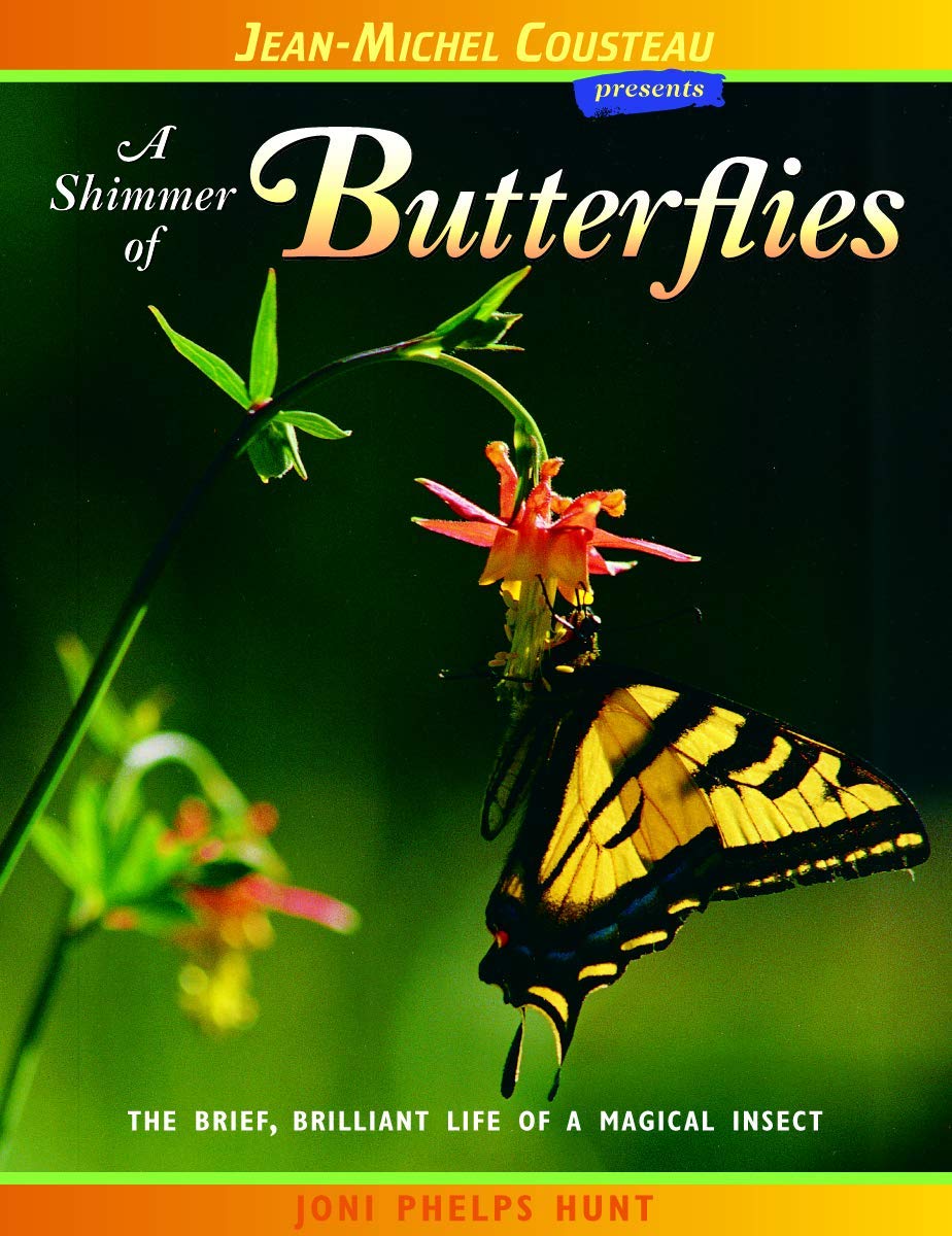 A Shimmer of Butterflies: Hunt, Joni Phelps, León, Vicki: 9780966649062 ...