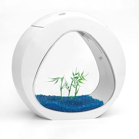 Fish R Fun Deco O Fish Tank White 20L : Amazon.co.uk: Pet Supplies