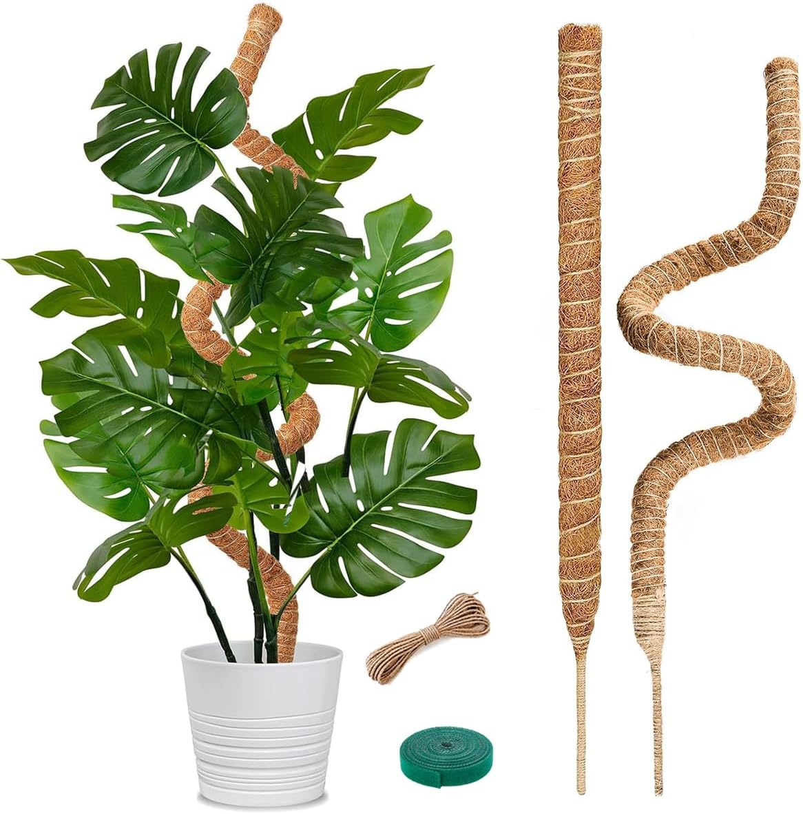 2 Stück 70cm Moosstab Monstera, Biegsame Monstera Rankhilfe für ...