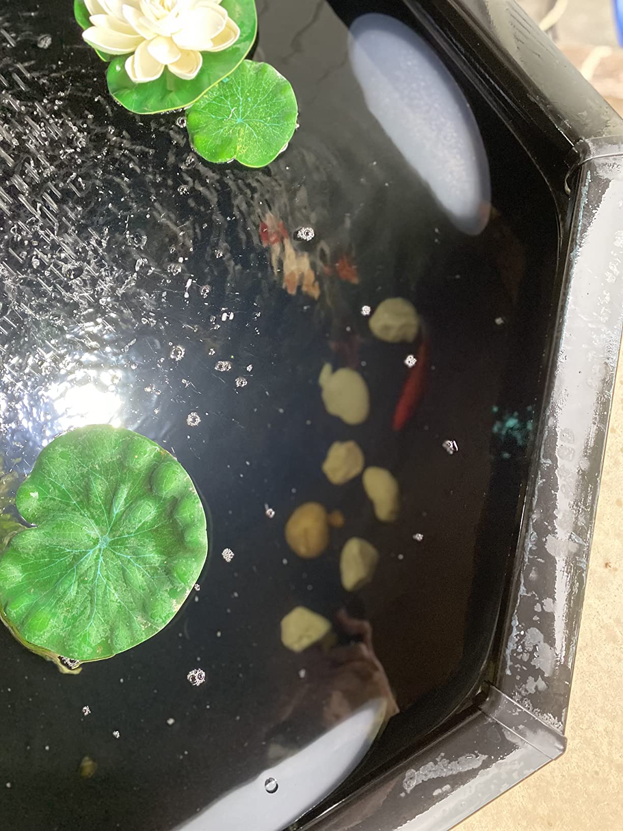 $47/mo - Finance Pennington Aquagarden, Complete Raised Window Pond Kit ...