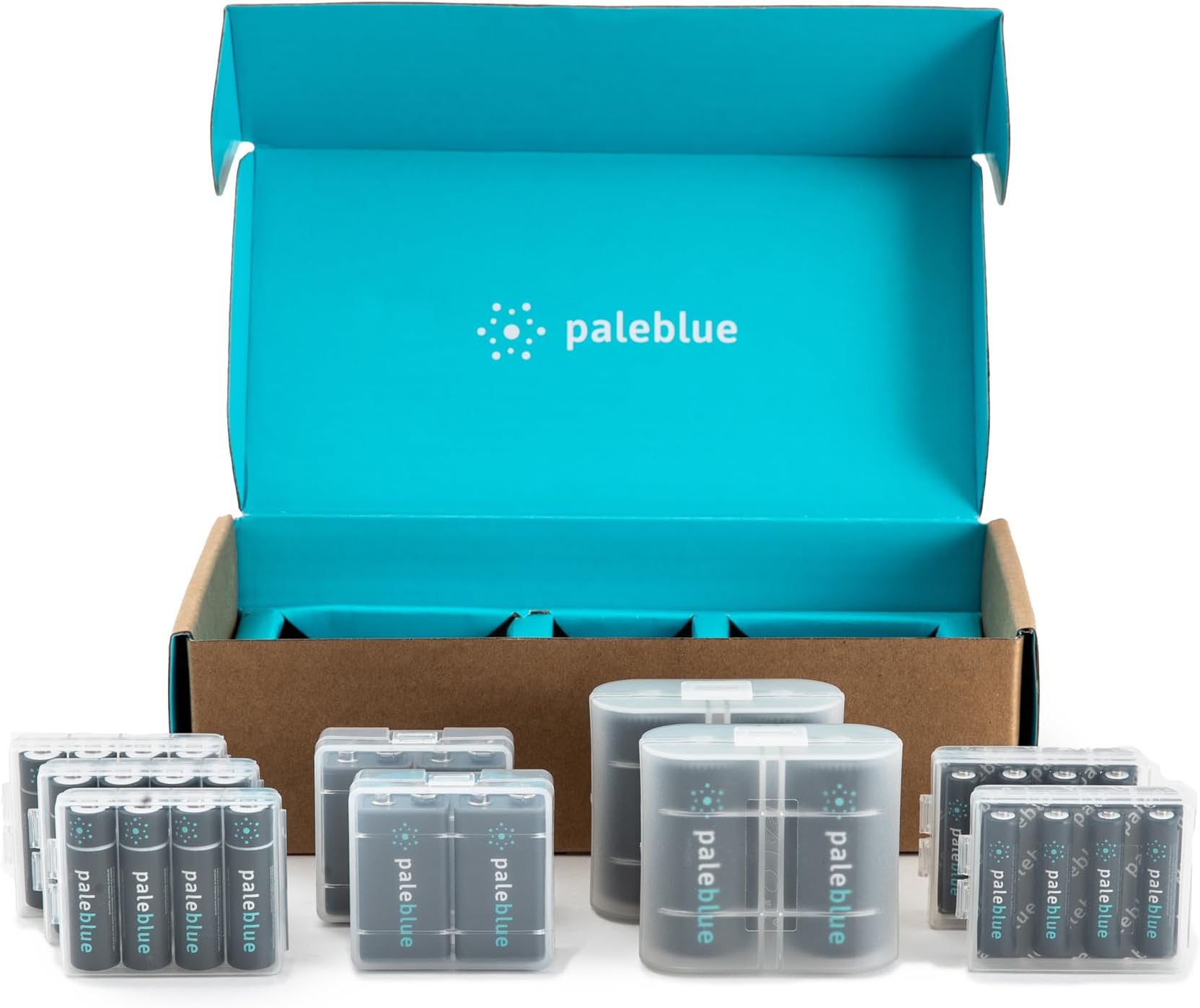 Amazon.com: paleblue USB-C Rechargeable Batteries Home Conversion Kit ...