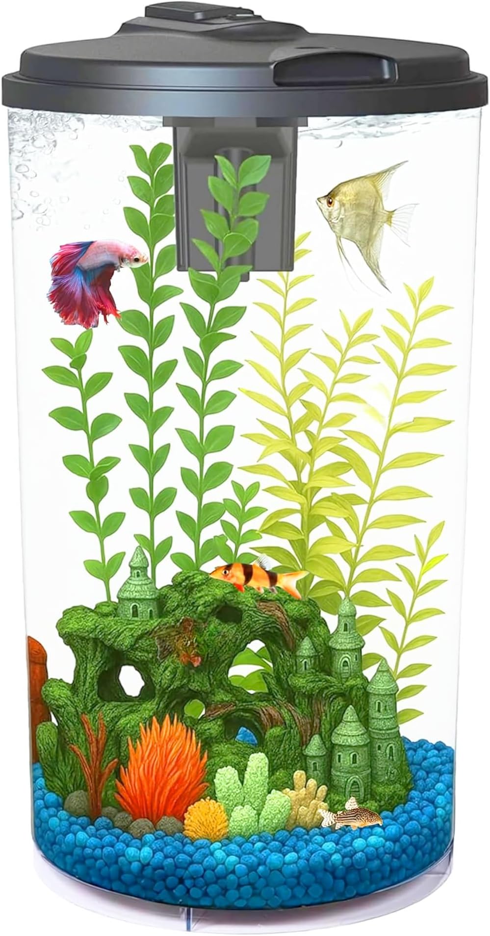 Koller Products Plastic 6-Gallon AquaView 360 Aquarium Kit for Tropical ...