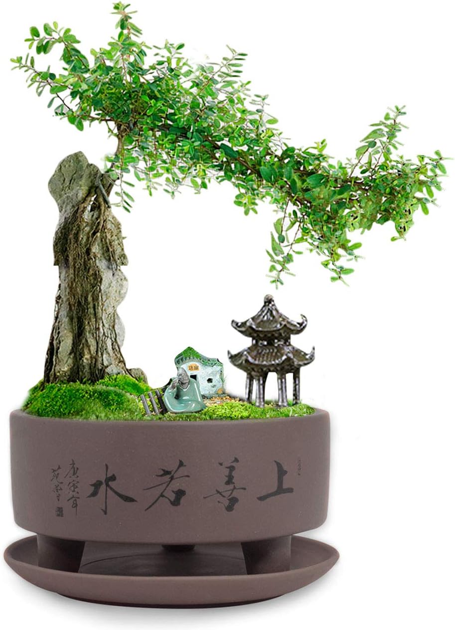 Amazon.com: Bonsiac Mini Bonsai Japanese Style Bowl Planters with ...