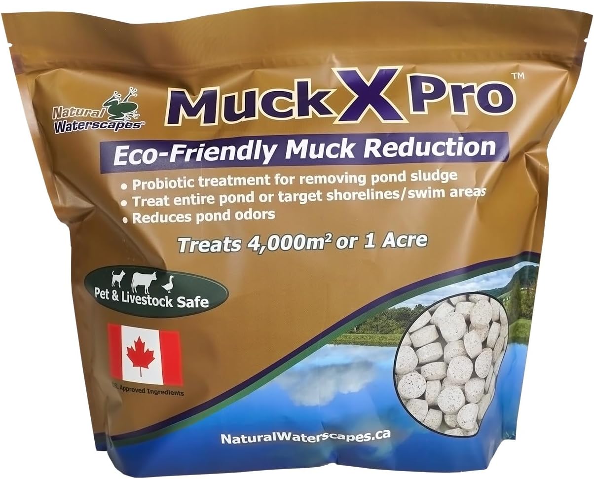 MuckX Pro Pond Sludge Remover - Beneficial Bacteria for Pond & Lake ...