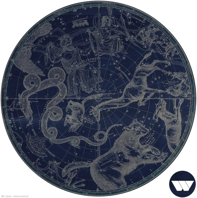 Amazon.com: Wall Canvas by Surface Collective Cartography Vintage ...