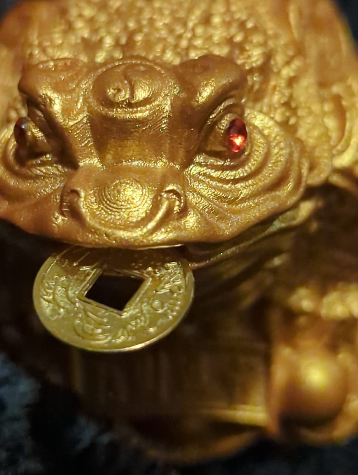 WYSUMMER Lucky Frog Coin, Feng Shui Toad Coin Money Lucky Frog Chinese ...