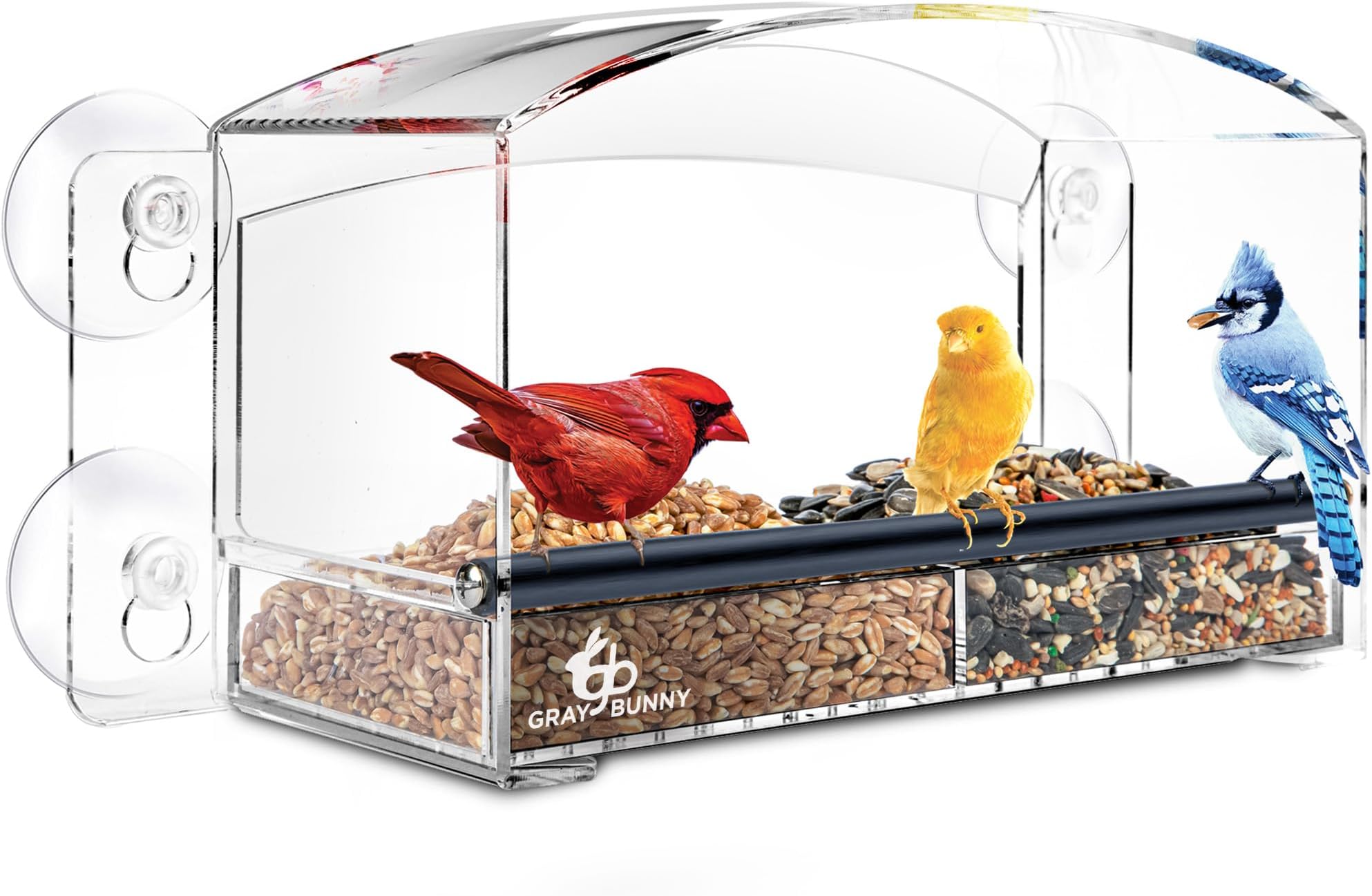Amazon.com : Yur Outdoors Clear Window Bird Feeder with Strong Suction ...