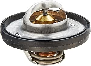 Amazon.com: Stant 36369 Thermostat : Automotive