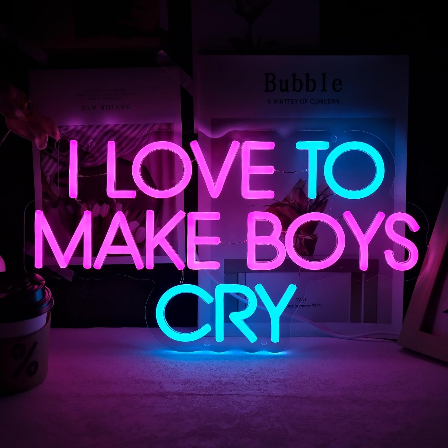I LOVE TO MAKE BOYS CRY Neon Light Sign, Funny Wall Art Colour Letters ...