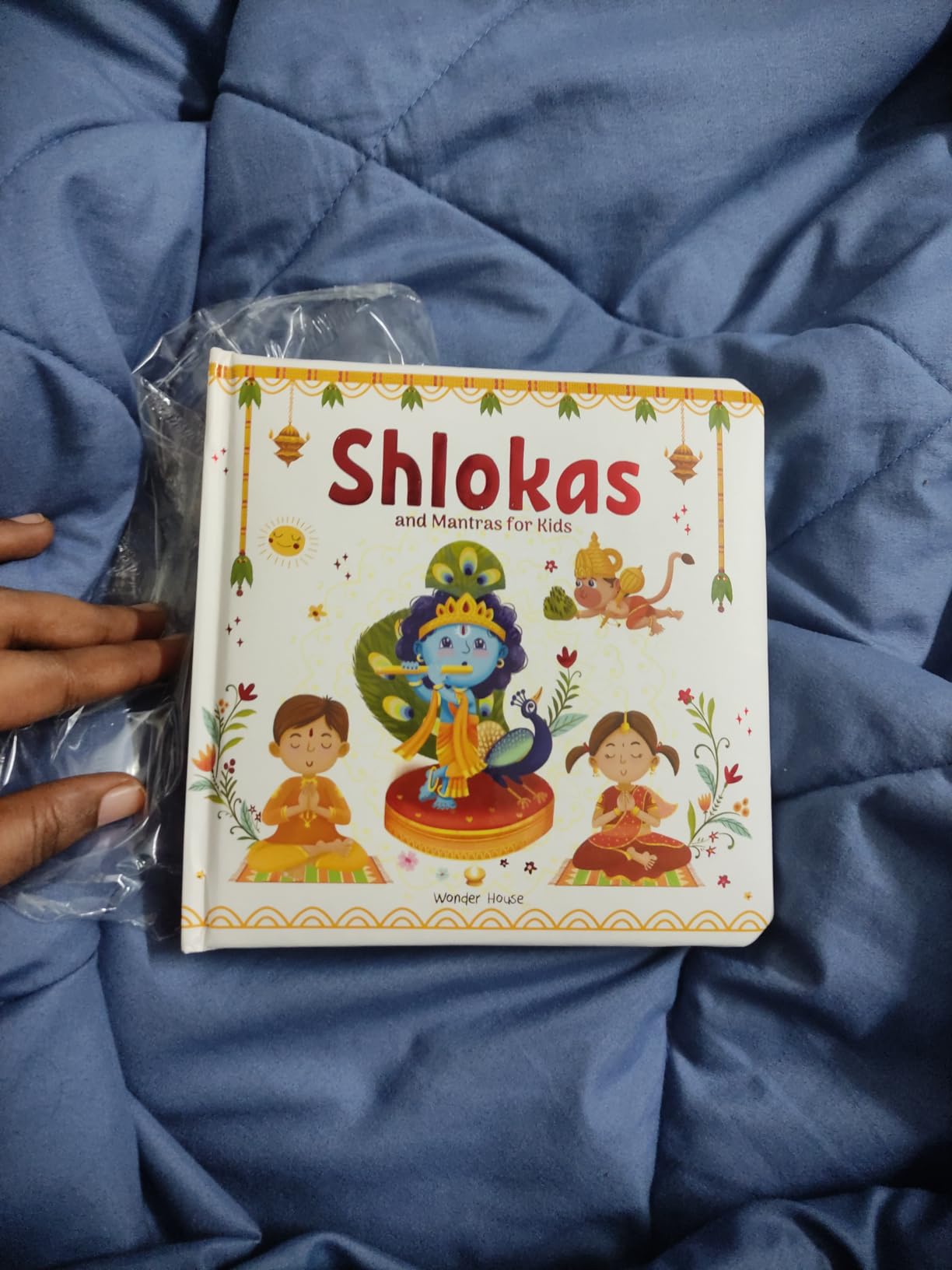Shlokas and Mantras For Kids English/Sanskrit | Illustrated Board Book ...
