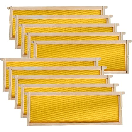 Acorn Bee Frame Black Plastic Heavy Wax Coated deep Size 9" Foundation ...