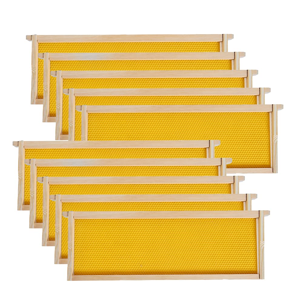 Amazon.com : Medium Super Beehive Frames with Wax Foundations, 10 Pack ...