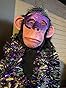 Amazon.com: SANZHIGUO Monkey Mask Full Head Animal Mask for Halloween ...