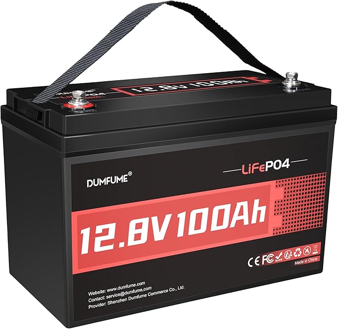 Amazon.com: dumfume 12V 100Ah LiFePO4 Lithium Battery, Built-in 100A ...