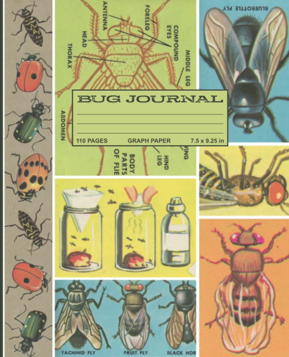 Bug Journal Graph Paper to Draw: Vintage Bug Design for Entomology ...