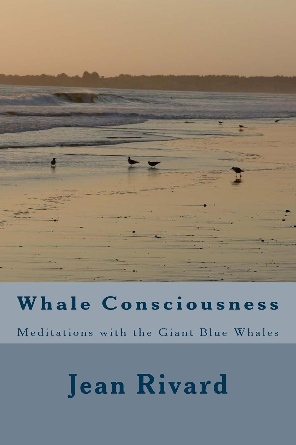 Whale Consciousness - Kindle edition by Rivard, Jean. Religion ...