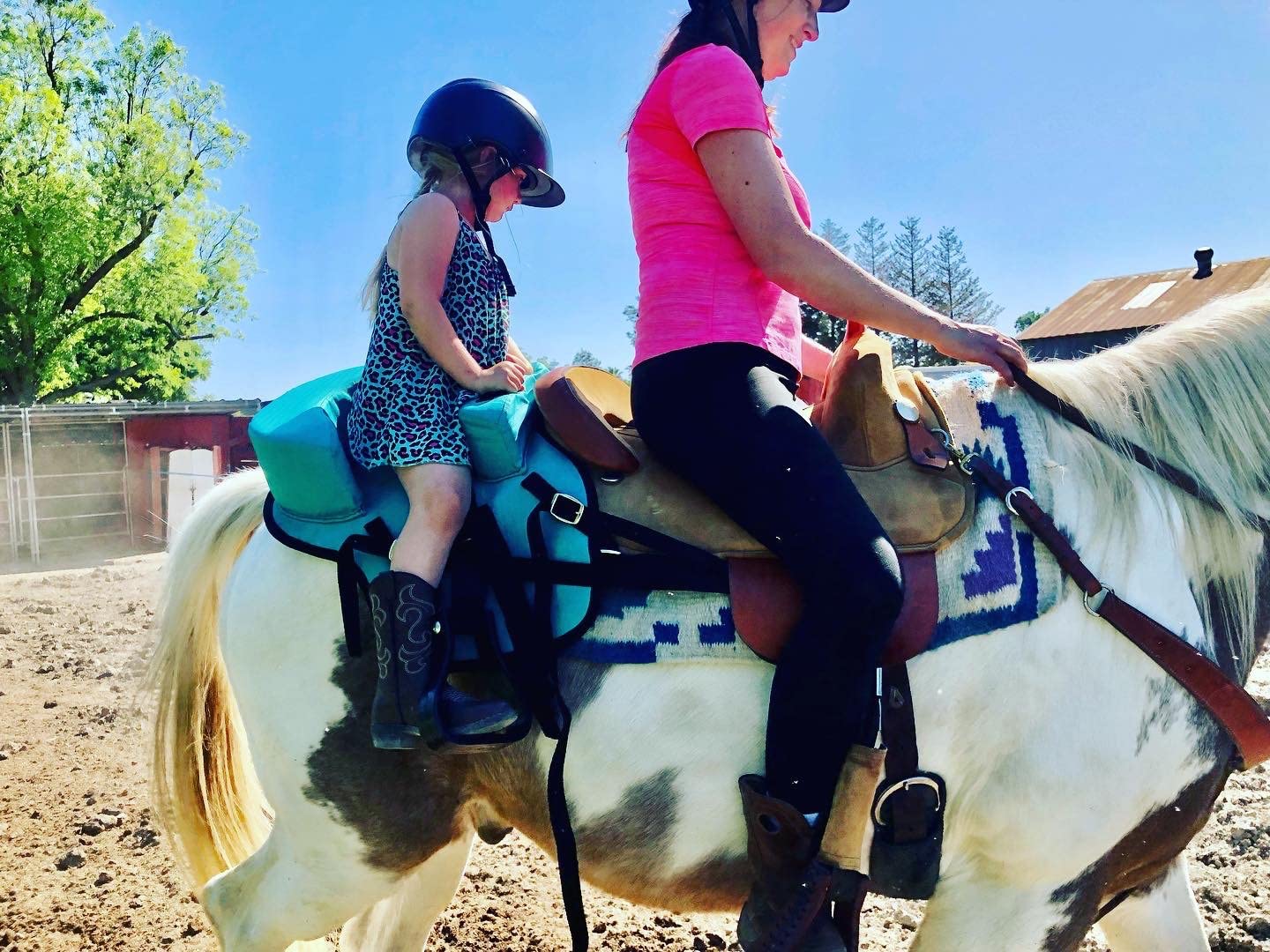 $15/mo - Finance HILASON Western Horse Saddle Buddy Seat for Kids ...