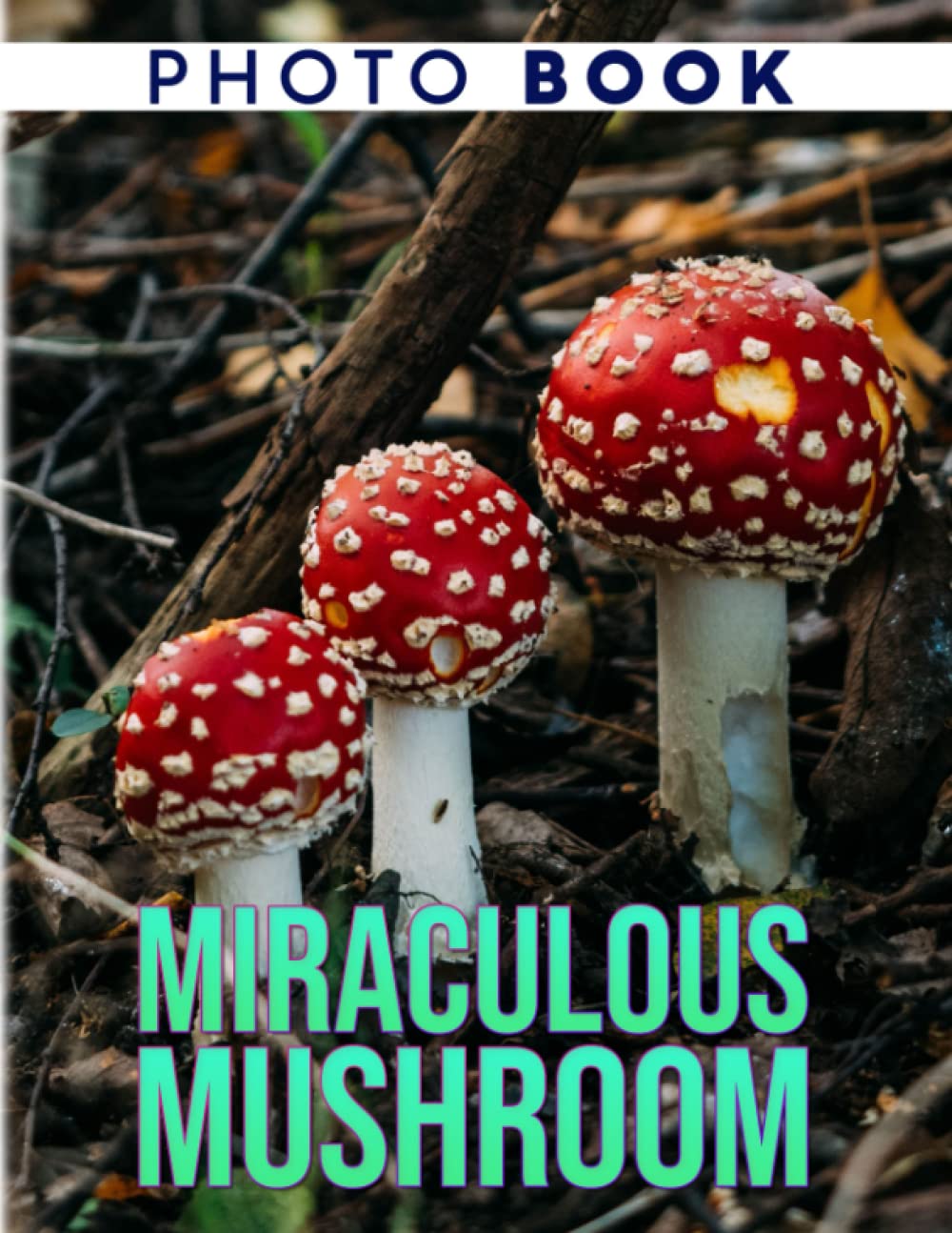 Miraculous Mushroom Photo Book: Grown-Up After Rainny Day | Various ...