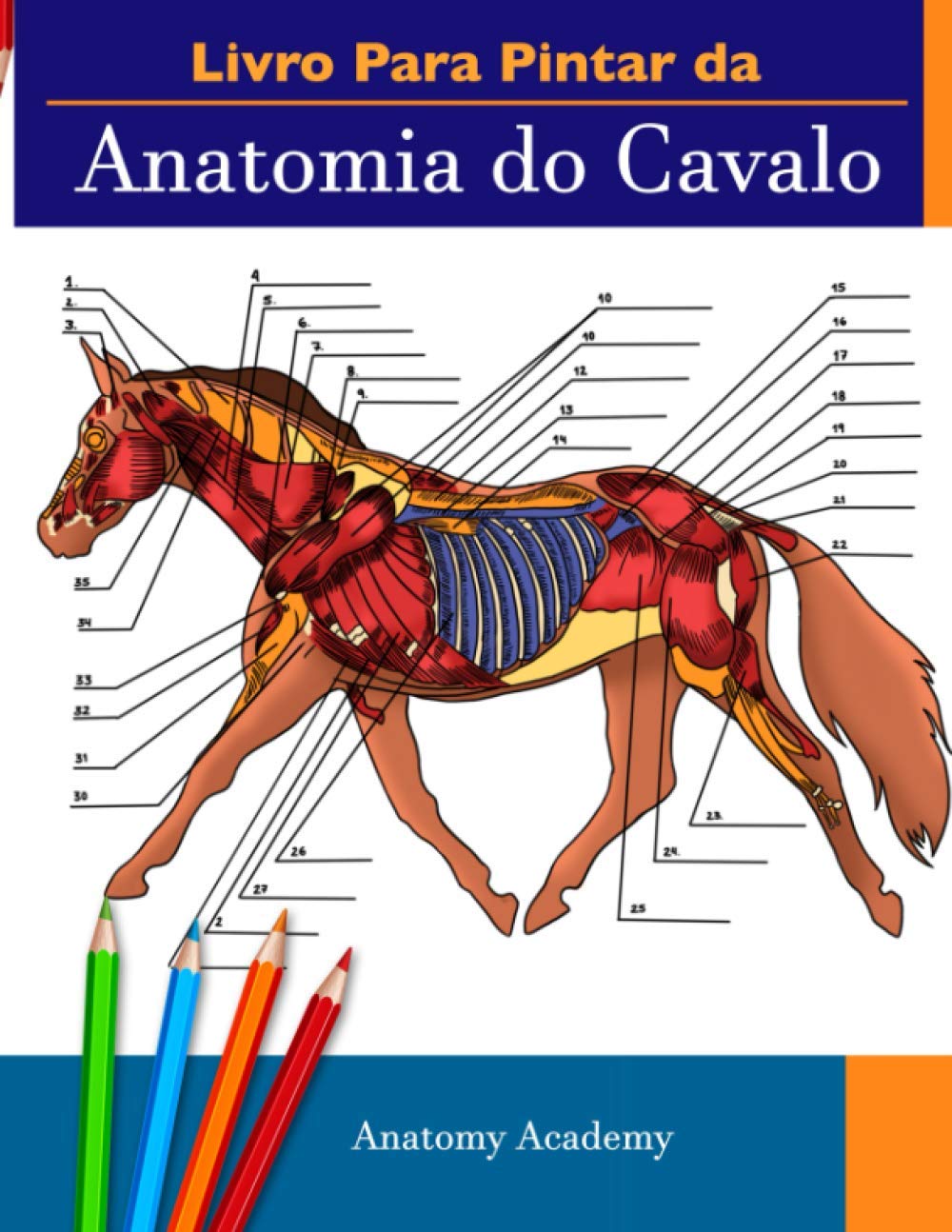 Buy Livro Para Pintar da Anatomia do Cavalo: Livreto de auto-avaliação ...