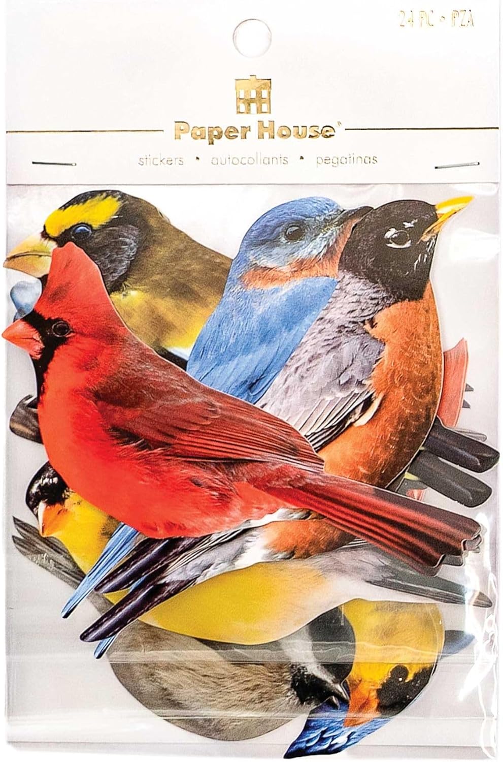 Amazon.com: Paper House Productions Backyard Birds 24-Piece Scrapbook ...