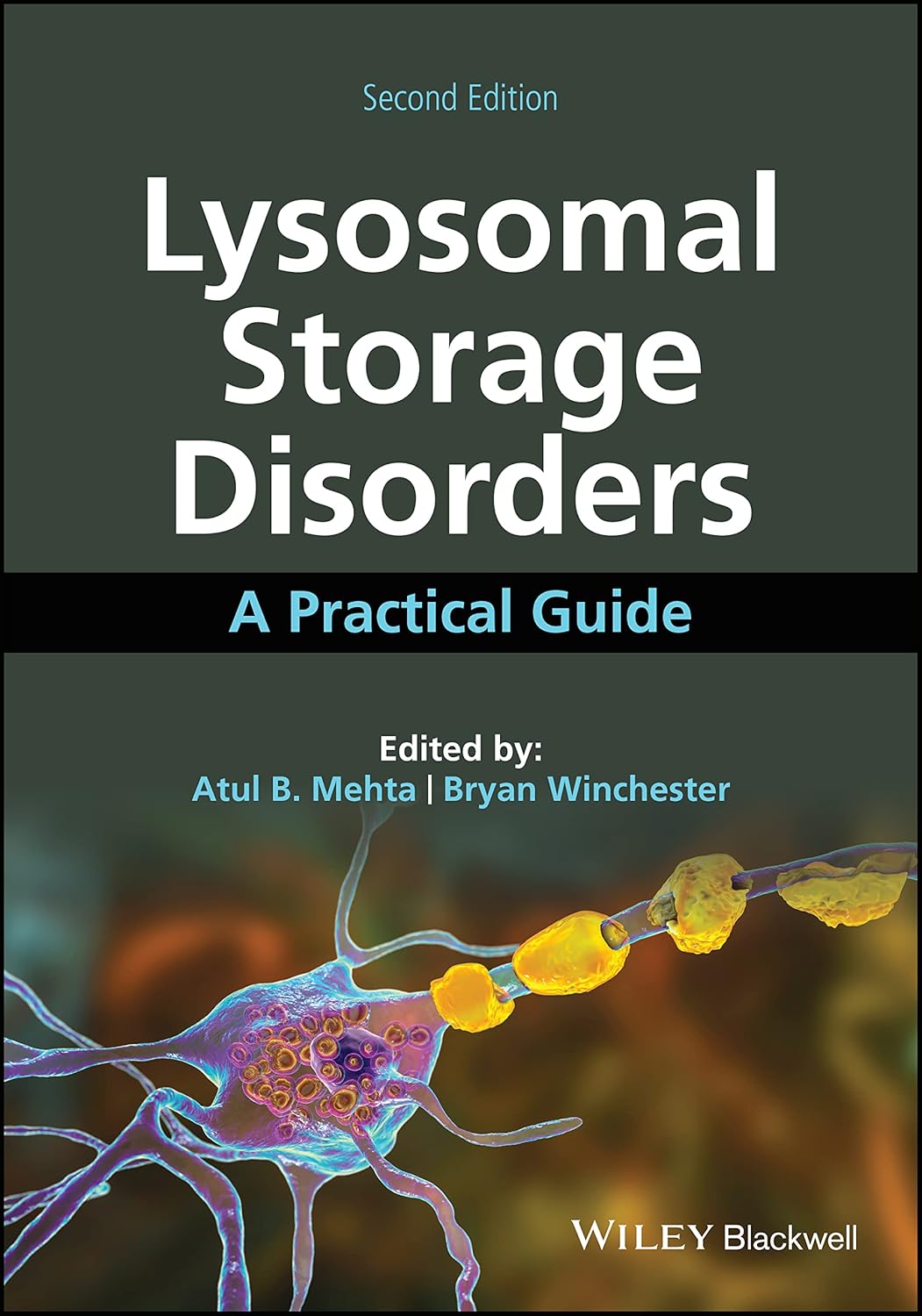 Lysosomal Storage Disorders: A Practical Guide: 9781119697282: Medicine ...