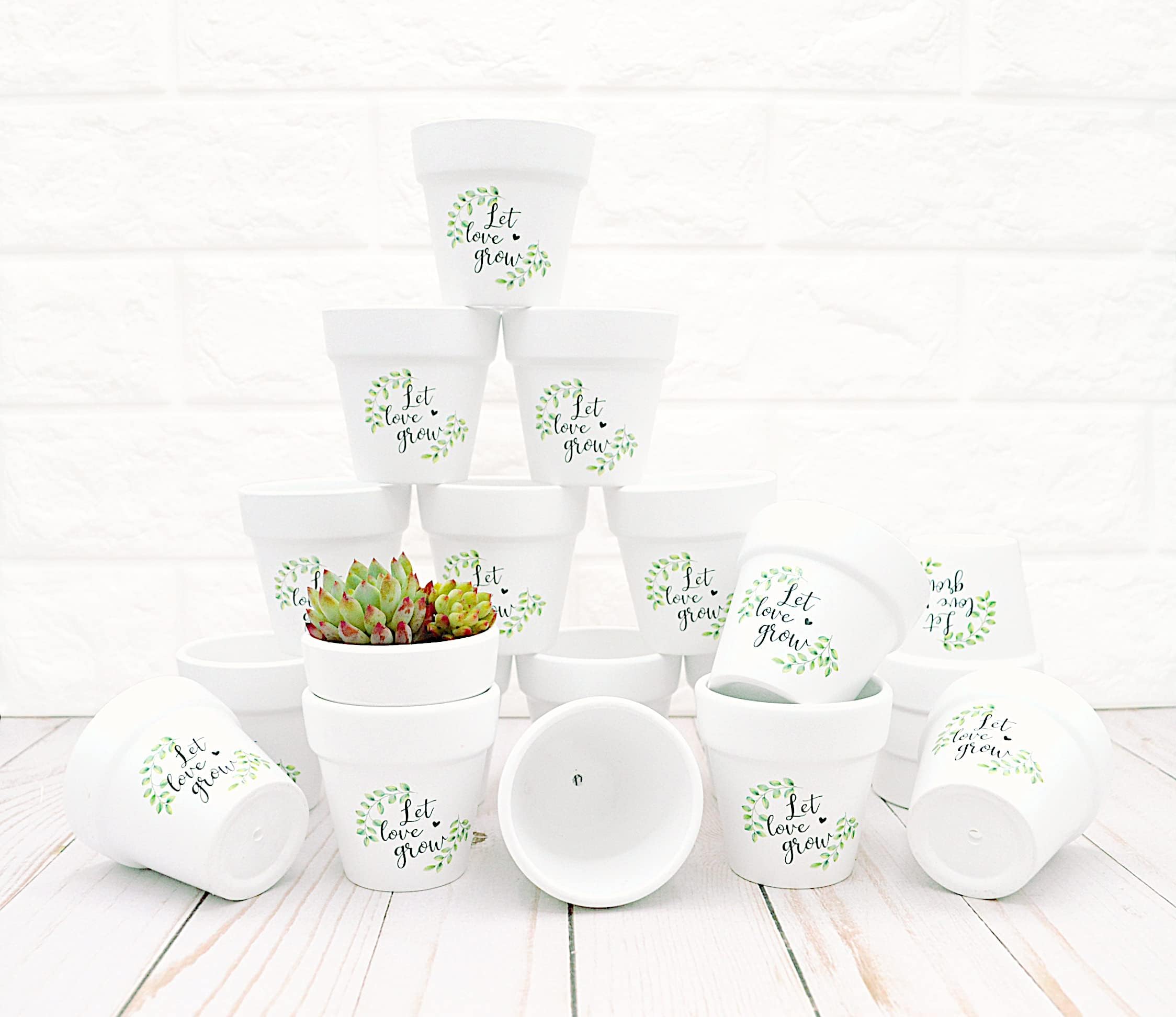 Amazon.com: Tanlade 50 Pcs Wedding Small Succulent Pots Wedding Party ...
