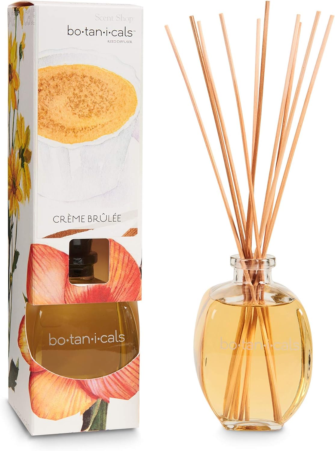 Amazon.com: Scent Shop - Botanicals Reed Diffuser Creme Brulee Scented ...